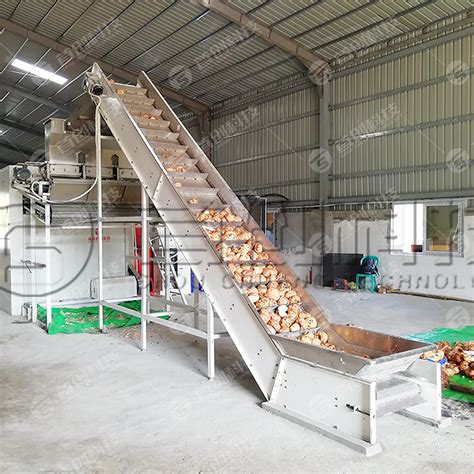First Odmoem Automatic 1 50 Ton Capacity Gari Konjac Cassava Yam