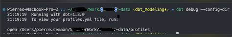 could not execute query because the python bridge has not been