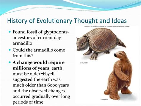 Ppt Evolution Descent With Modification Powerpoint Presentation Free Download Id 5328442
