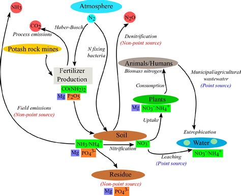 Figure 1 From A Review Of Phosphate Adsorption On Mg Containing