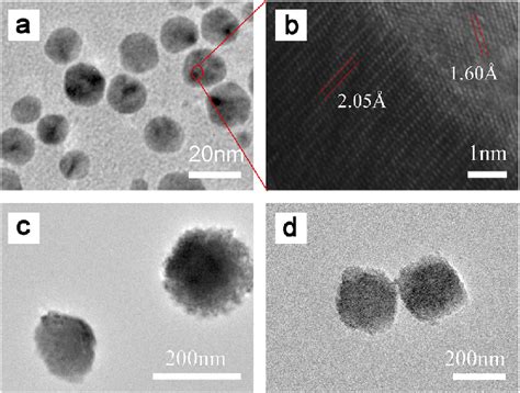 A Tem Image Of Co Coo Core Shell Npss Prepared By Peg S1 B Hrtem