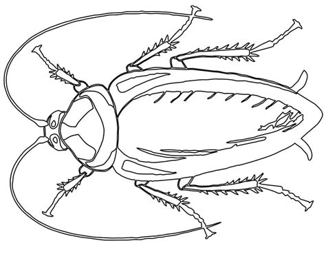 Printable Cockroach
