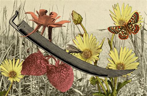 The Yale Review Daegan Miller How To Sharpen A Scythe