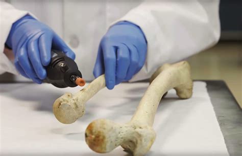 Forensic Mtdna Analysis With Sequencing