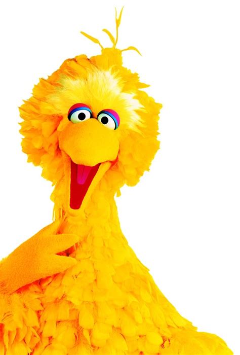 Pin By Marieli On Big Bird Sesame Street The Muppet Show Big Bird