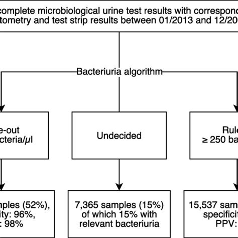 Theoretical Performance Of The Developed Bacteriuria Algorithm On The Download Scientific