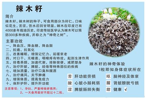 辣木籽有哪些功效与作用辣木籽吃多了怎么办 知乎