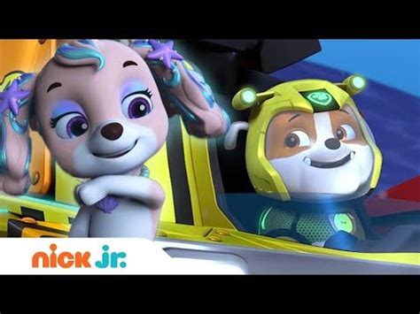Aqua Pup Rubble Stops A Sinking Submarine W Coral Paw Patrol Skye