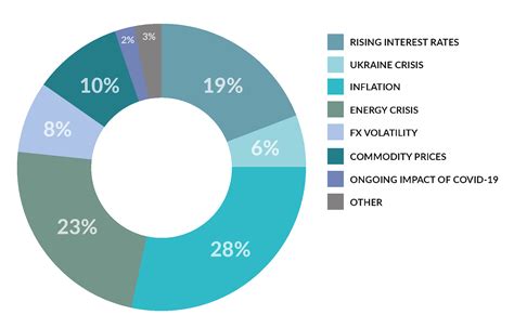 Optionality And Automation Treasury Management International