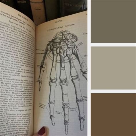 Атмосфера биологии в цветах Какая картинка понравилась больше 99 баллов Биология ОГЭ и