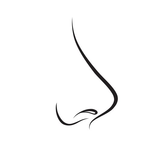 دکتر مجید عمادی، بهترین فوق تخصص پلاستیک و زیبایی