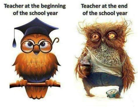 14 End Of The Year Memes That Any Teacher Will Understand Artofit