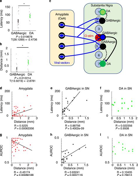 Amygdala Gabaergic Neuron In Sn Da Neuron Circuit And Environmental Download Scientific Diagram
