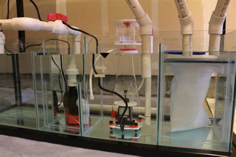 Aquarium Overflow Fun