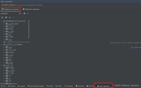 动态数据库工具database Inspectdatabase Inspector找不到 Csdn博客