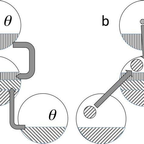 Two Stage Sampling Scheme A First Sampling Of θn Adjacencies From