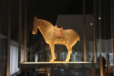 四川大学博物馆展厅 组详情页 视觉成都 lenschengdu