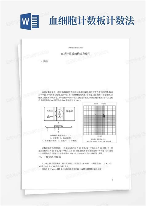 血细胞计数板计数法word模板下载 编号lmpzabvo 熊猫办公