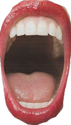 Woman With Mouth Open Wide Close Up By Pando Hall Cutout Mouth Open
