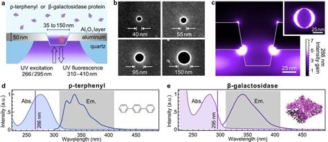 Aluminum Zero Mode Waveguides Zmws To Enhance Single Molecule Download Scientific Diagram