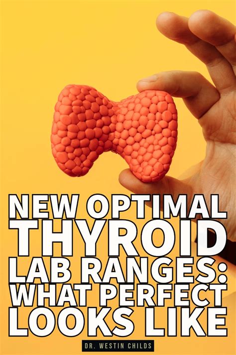 New Optimal Thyroid Lab Ranges For All Thyroid Lab Tests New Optimal Thyroid Lab Ranges For All Thyroid Lab Tests