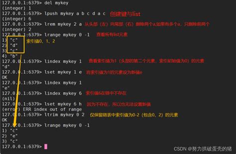 Redis之数据类型string、list、hash、set、sorted Set（详细）redis String Set Csdn博客