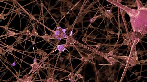 Premium Photo 3d Rendering Of A Network Of Neuron Cells And Synapses