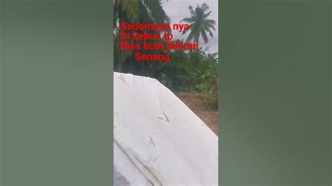 Esplor Gubuk Aa Jujun Shorts Fyp Realinteraksi Youtube