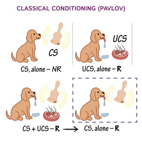 Classical Conditioning Examples