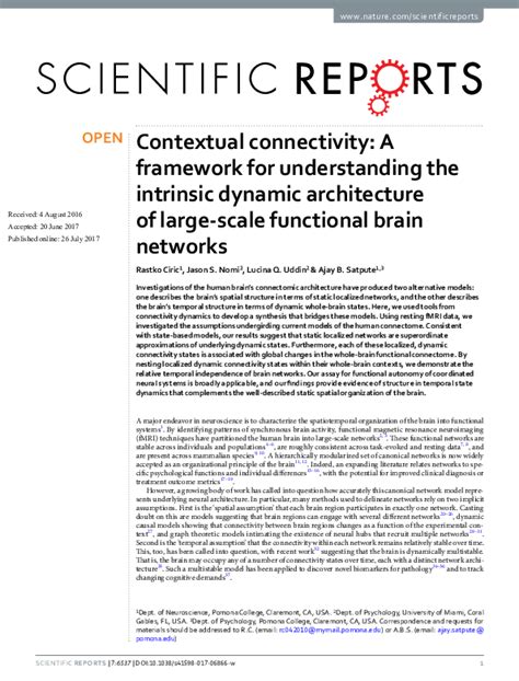 pdf contextual connectivity a framework for understanding the intrinsic dynamic architecture
