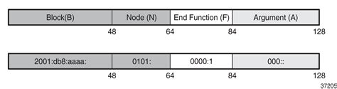 Segment Routing Over IPv