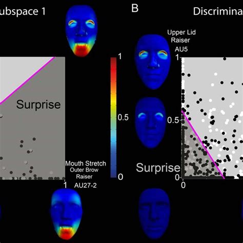 1 Evolution Of The Supragranular Layers Sgl Of The Cortex Download Scientific Diagram