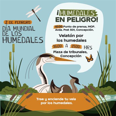 2 De Febrero Actividades Y Velatón Por El Día Mundial De Los Humedales