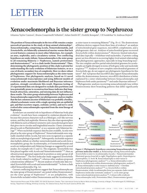 Pdf Xenacoelomorpha Is The Sister Group To Nephrozoa