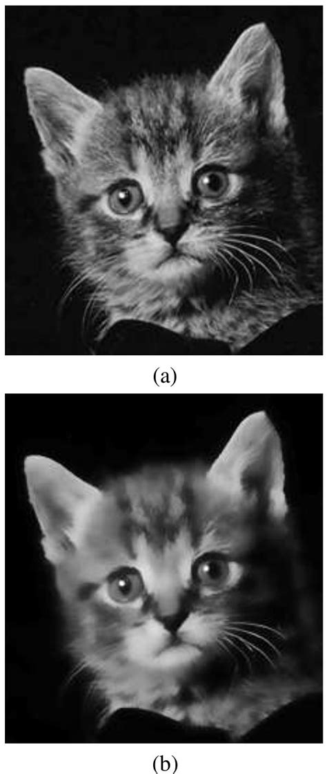 Pdf Bilateral Filtering For Gray And Color Images