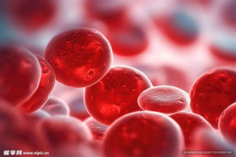 红细胞 设计图医疗保健生活百科设计图库昵图网