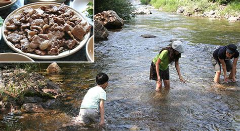 함께 떠나요 육지속 섬 경북 봉화 고선 계곡