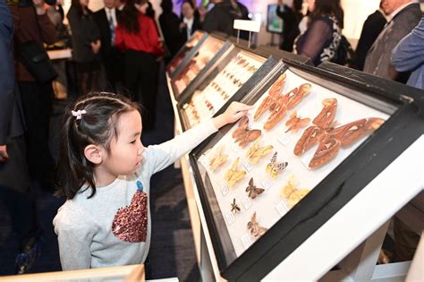 Чингис хаан Үндэсний музей Чингис хаан Үндэсний музей