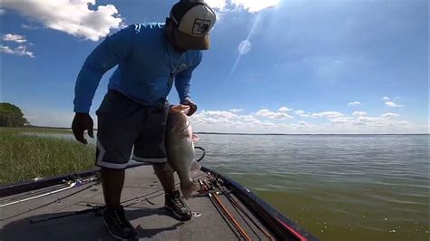 Flipping Kissimmee Grass Harris Chain Of Lakes Youtube