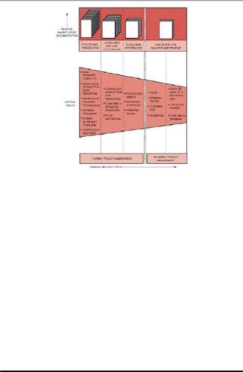 PROJECT LIFE CYCLES Conceptual Phase Implementation Phase Engineering Project Project Management