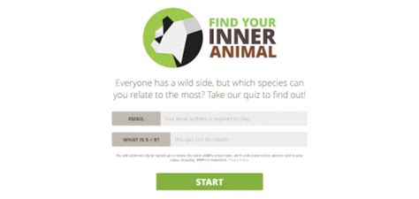 How To Build An Email List Fast From Scratch In 2022 Optimonk Blog