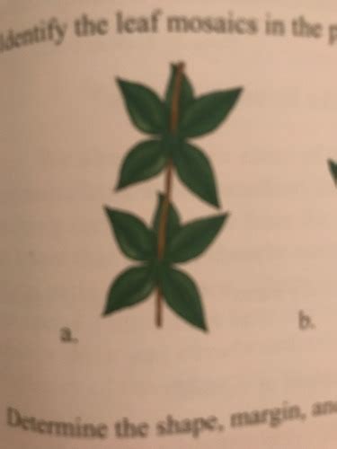 BIOLOGY Module 14 Study Guide Questions Flashcards Quizlet