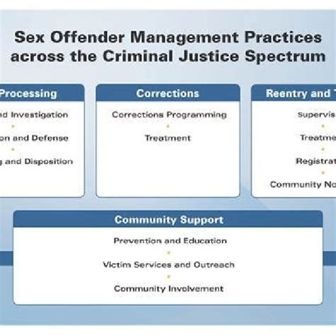 PDF Sex Offender Risk Assessment