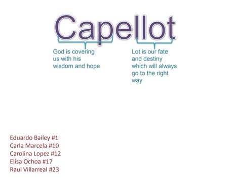 Ppp Proyect History Ppt