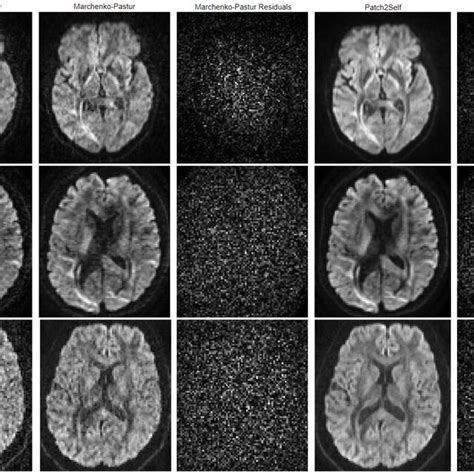 Shows The Comparison Of Denoising On 3 Different Types Of Datasets Download Scientific Diagram