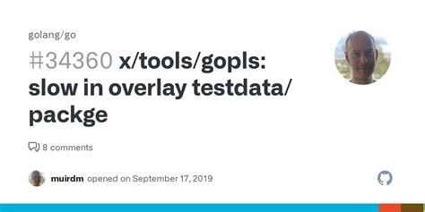 X Tools Gopls Slow In Overlay Testdata Packge Issue 34360 Golang