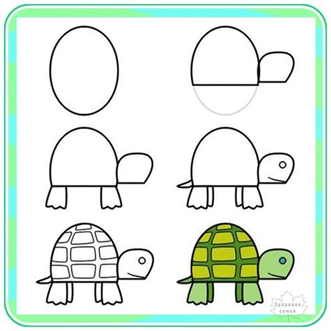 Как нарисовать черепаху поэтапно