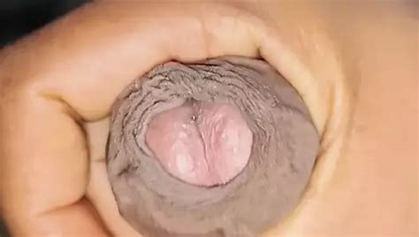 Sexunterricht Porno Videos Von Xhamster