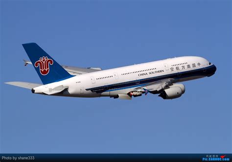 Pytorch实现cifar10之读取模型训练本地图片 Eve Seven