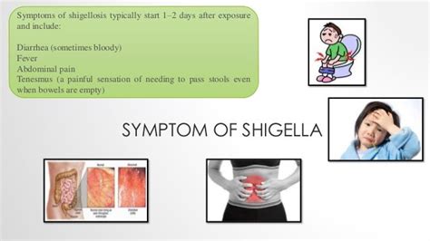 Season Plan For Ebola Virus Disease And Shigella Bacteria